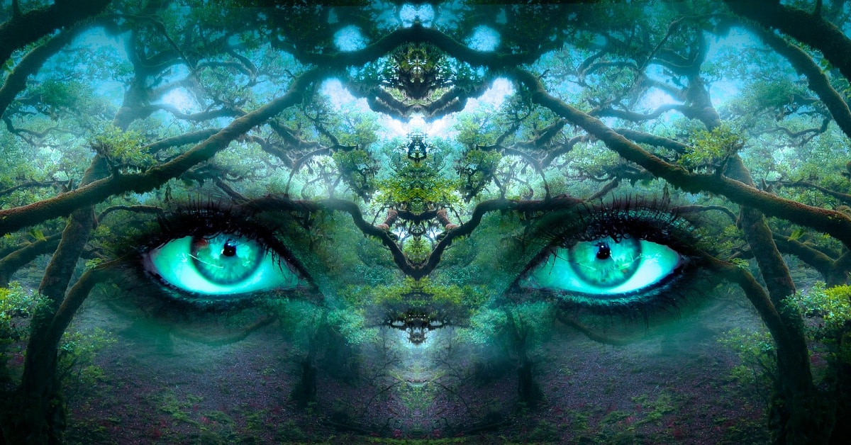 Learn How To Bend Reality And Shape Destiny To Your Vision | Reality ...